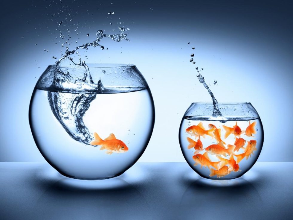 50 Small Ways to Improve Your Life (Without Even Trying)